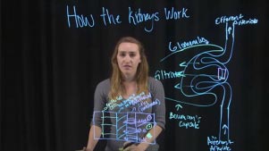 Teaching Online with a Whiteboard vs Lightboard | Learning Glass Europe